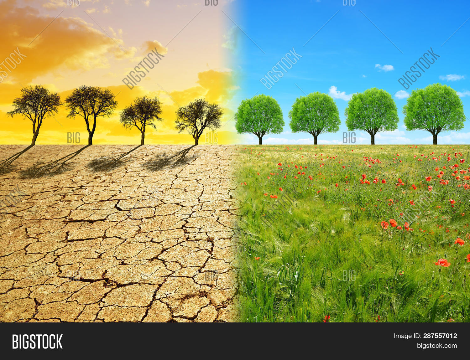 Dry Country Cracked Image & Photo (Free Trial) | Bigstock