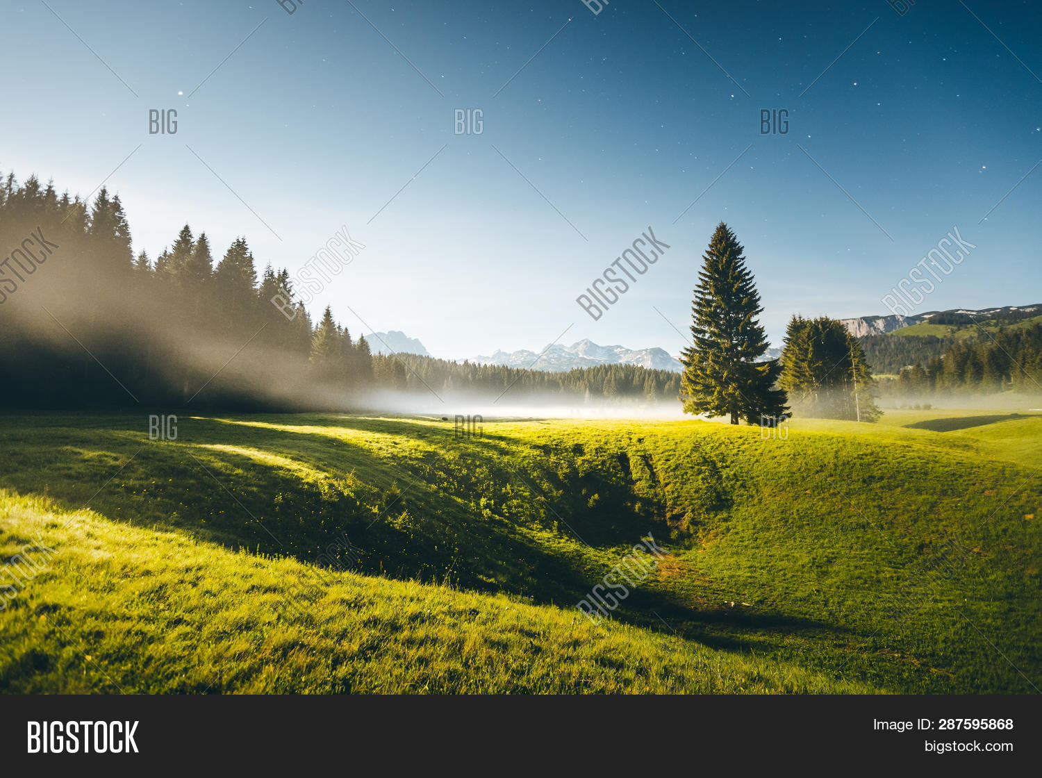 Vivid Summer Night Image & Photo (Free Trial) | Bigstock