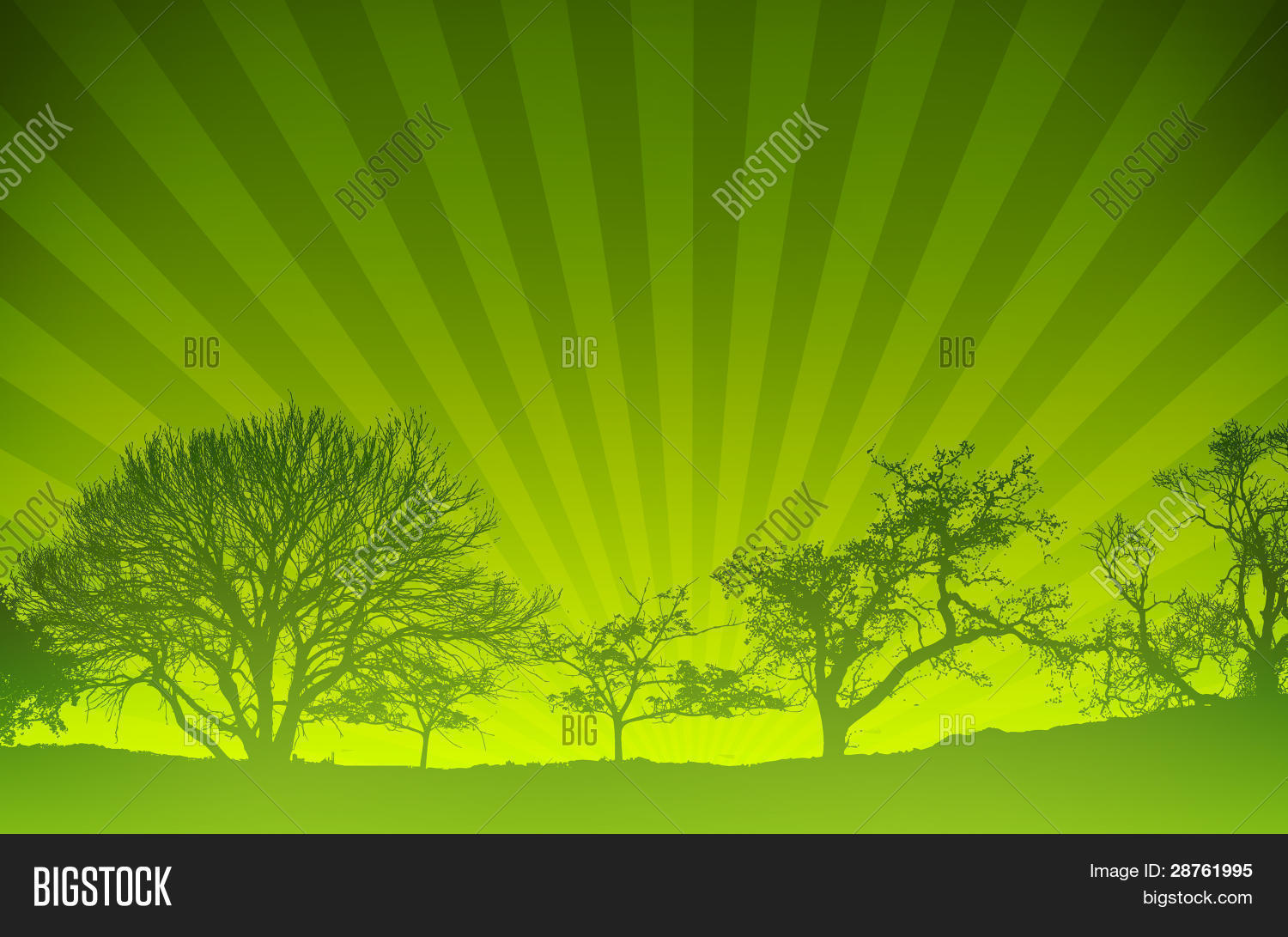 Green Sunset Light Image & Photo (Free Trial) | Bigstock