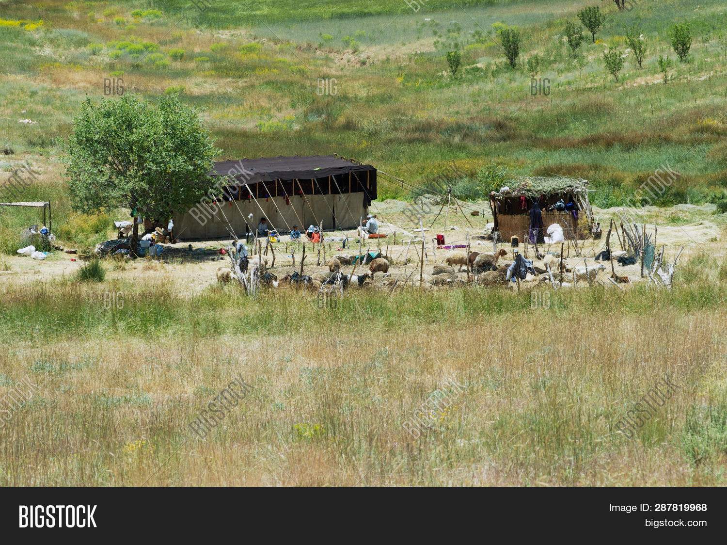 Yasuj, Iran - June 21 Image & Photo (Free Trial) | Bigstock