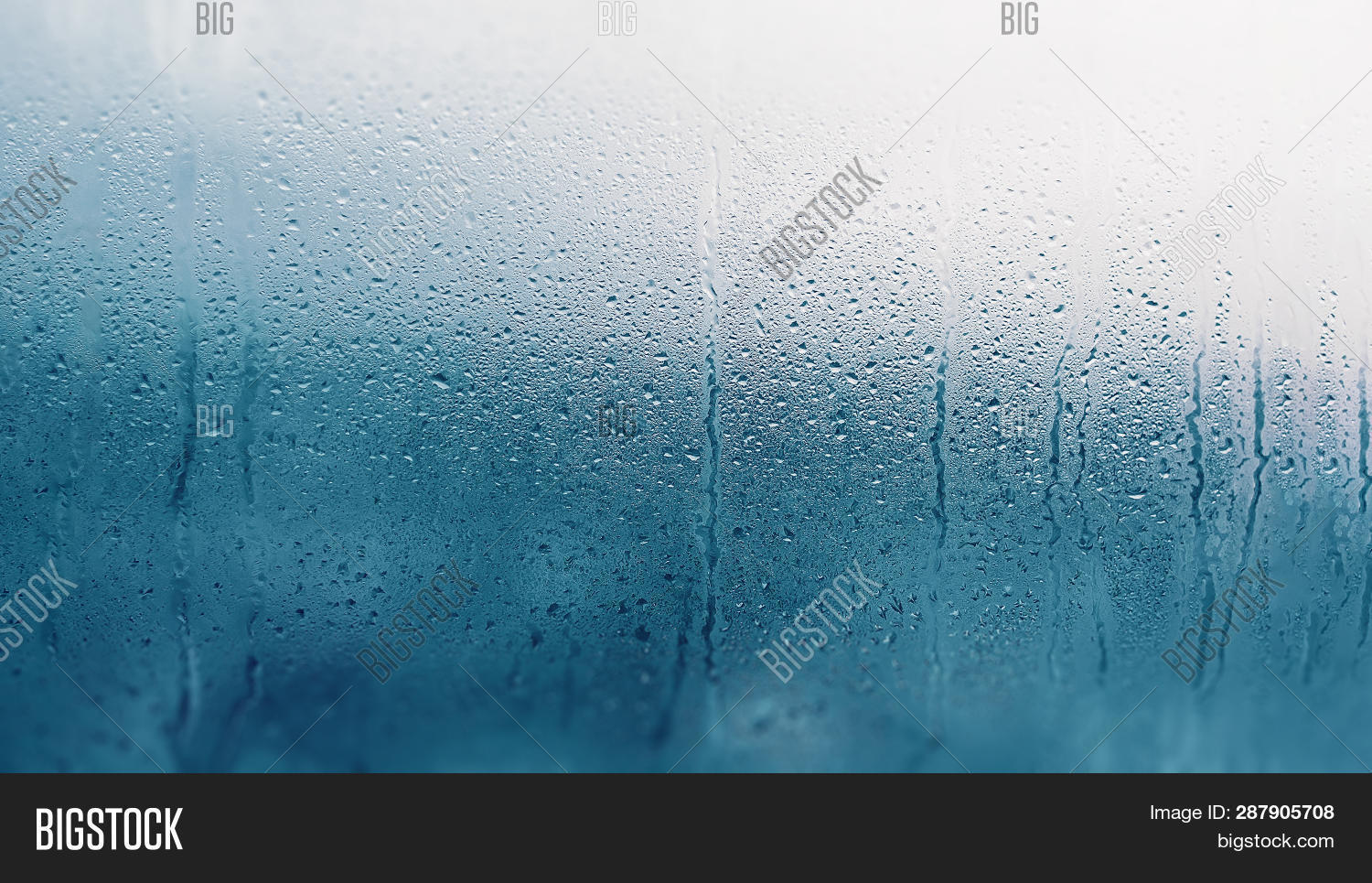 Detail Moisture Image & Photo (Free Trial) | Bigstock