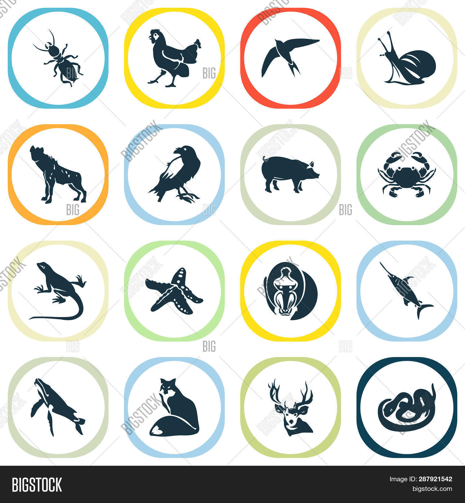 Fauna Icons Set Image & Photo (Free Trial) | Bigstock