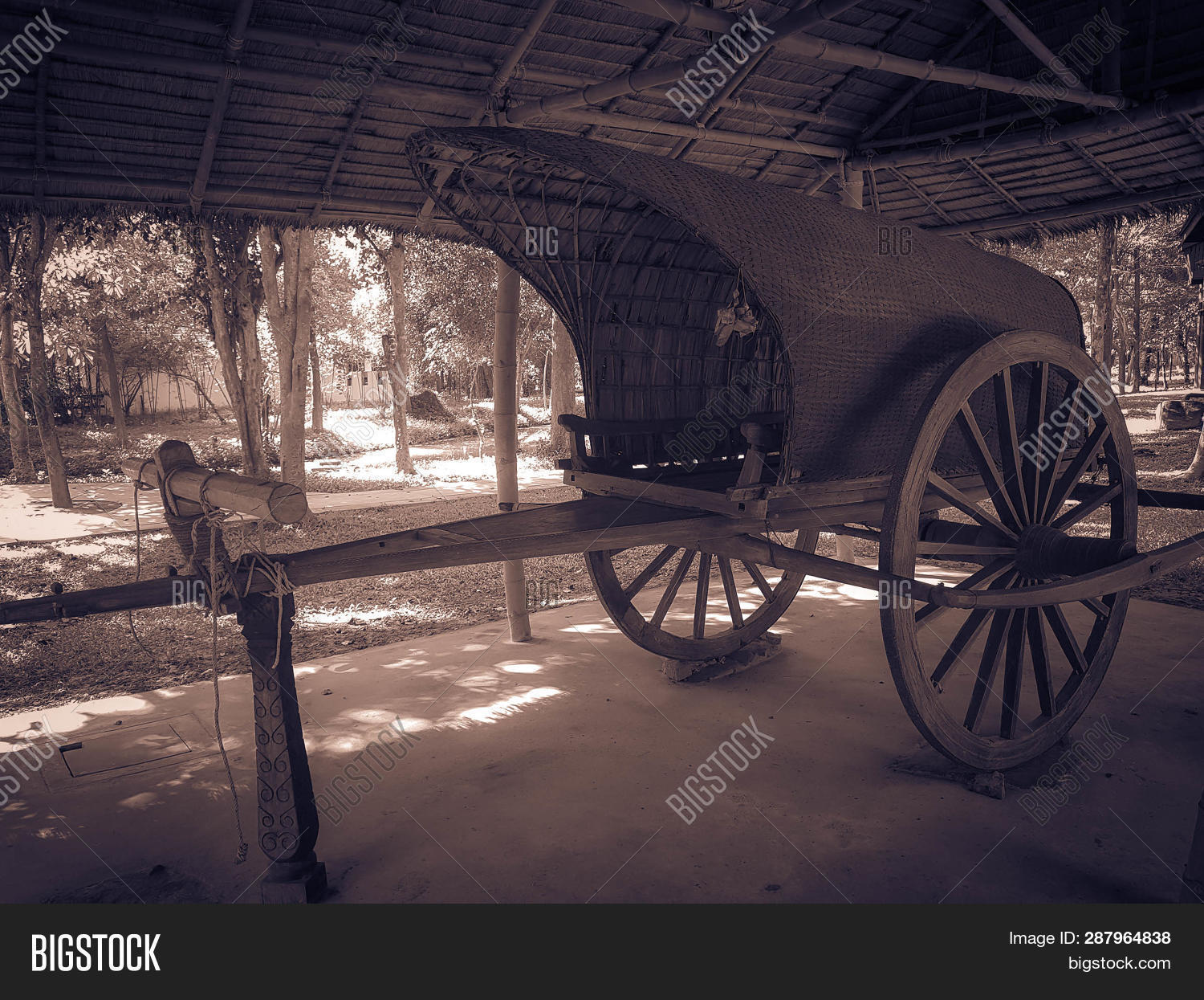 Old Bullock Cart Rice Image & Photo (Free Trial) | Bigstock