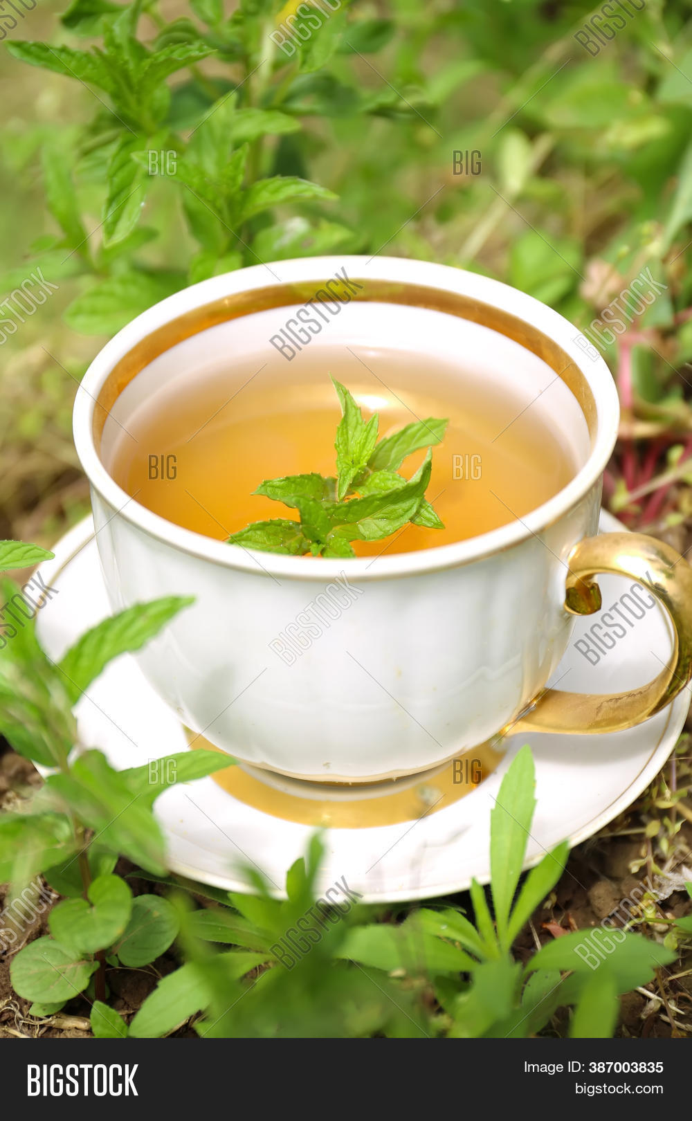 Cup Green Tea Mint Image & Photo (Free Trial) | Bigstock