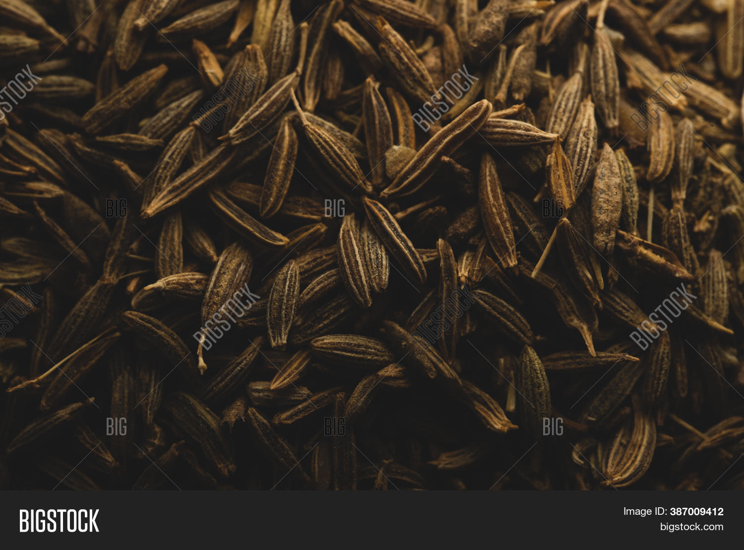 Macro Close Cumin Image & Photo (Free Trial) | Bigstock