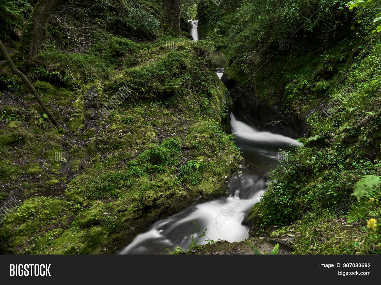 Beautiful Small Narrow Image & Photo (Free Trial) | Bigstock