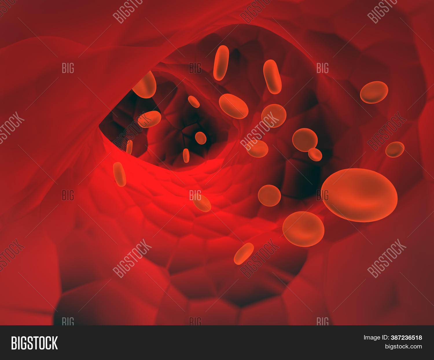 Many Red Erythrocytes Image & Photo (Free Trial) | Bigstock