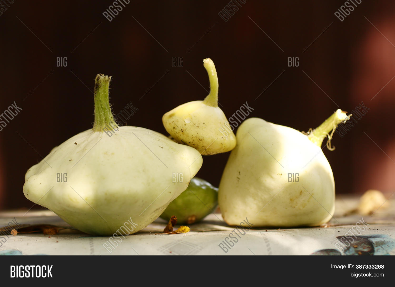 Patisson Bush Pumpkin Image & Photo (Free Trial) | Bigstock