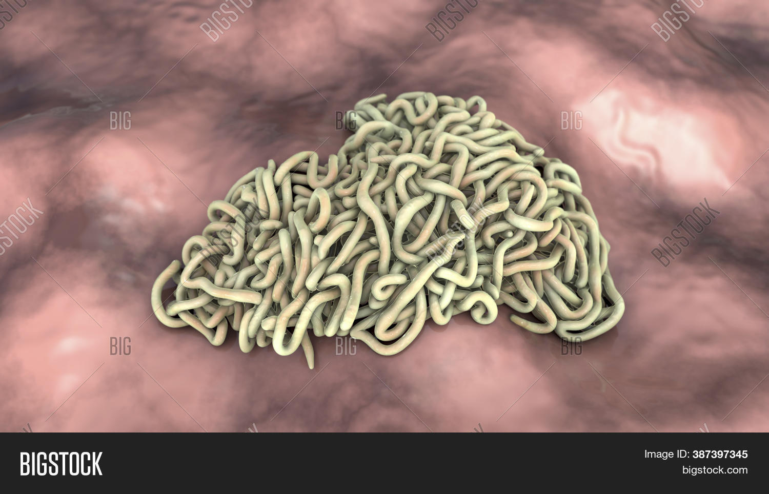 Parasitic Worms, 3d Image & Photo (Free Trial) | Bigstock