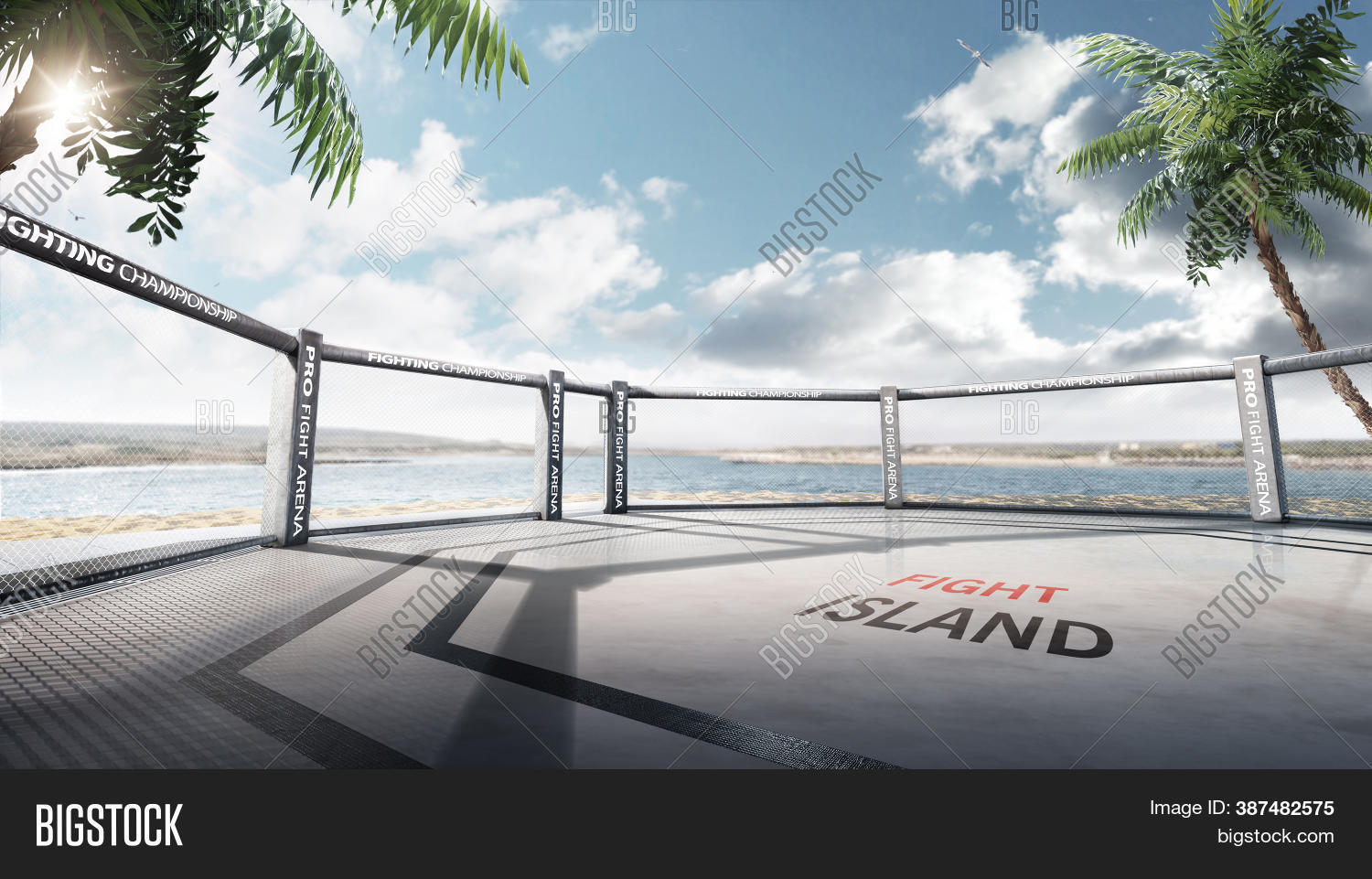 3d Mma Arena. Fight Image & Photo (Free Trial) | Bigstock