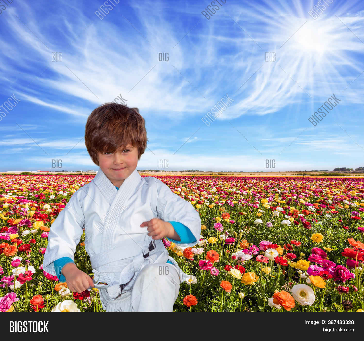 Picturesque Field Image & Photo (Free Trial) | Bigstock