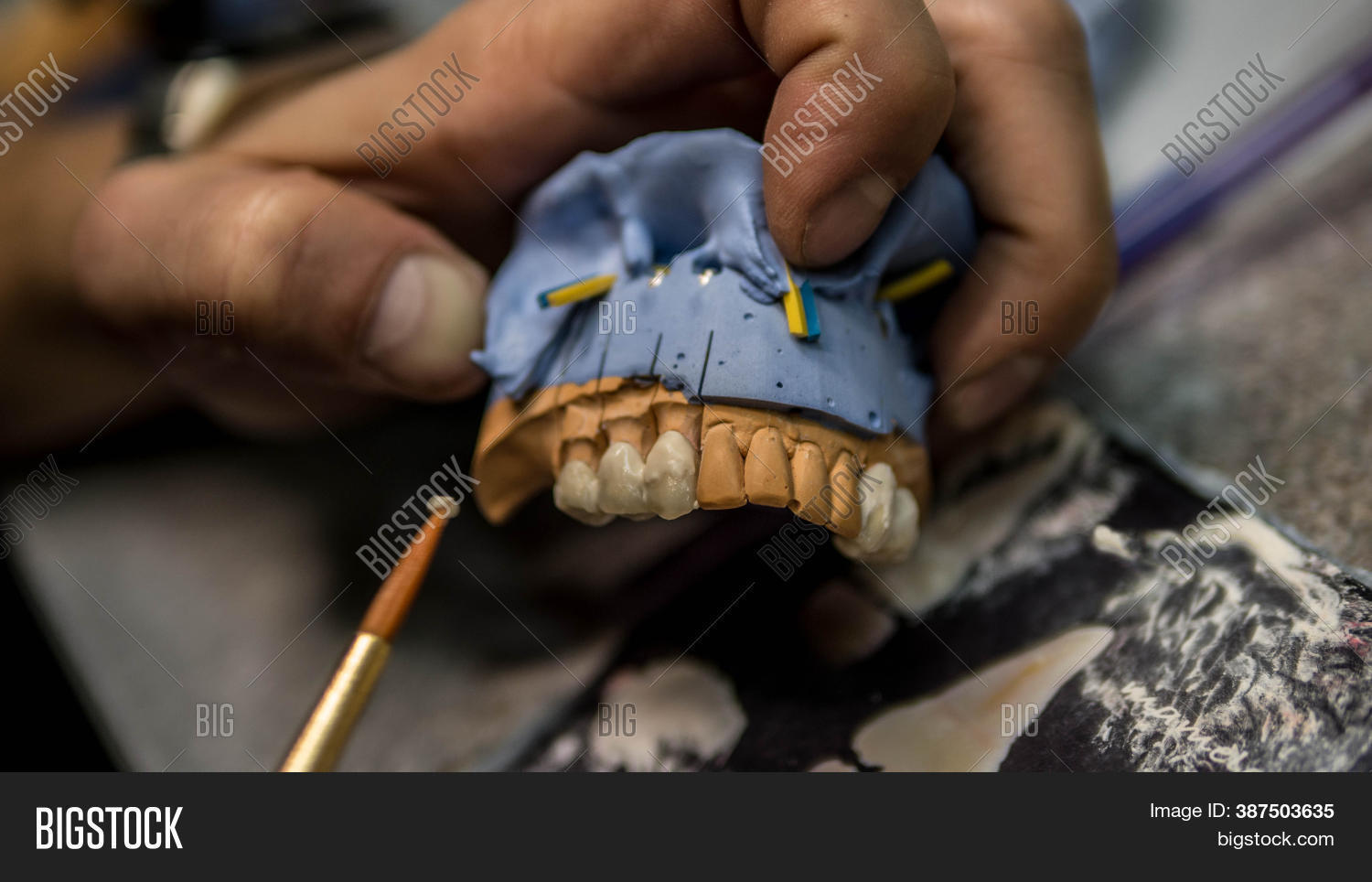 Dental Surgeon Sculpts Image & Photo (Free Trial) | Bigstock