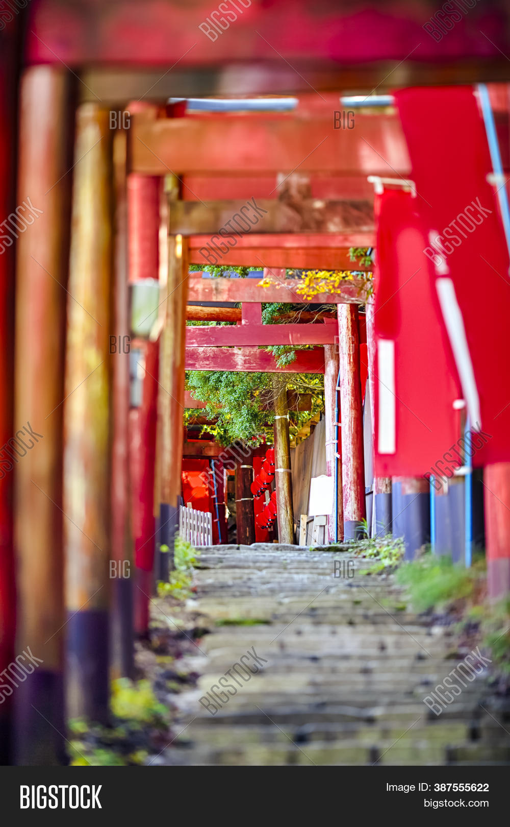 Traditional Red Torii Image & Photo (Free Trial) | Bigstock