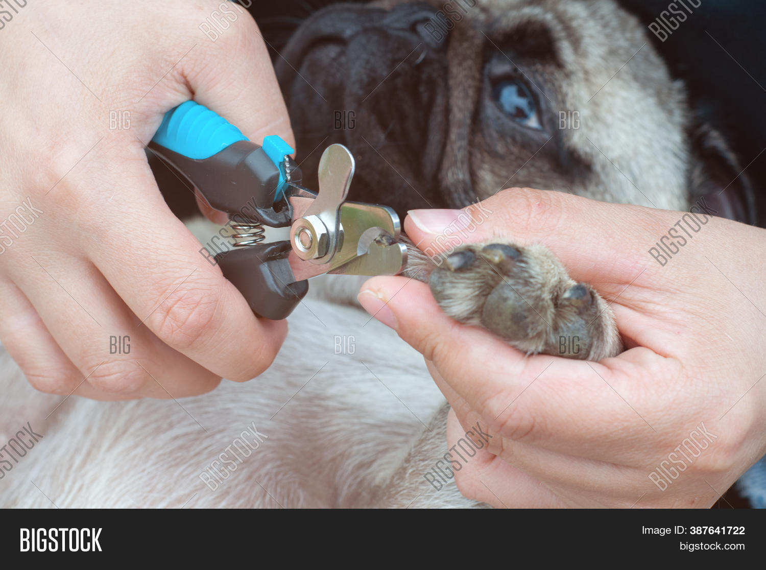 Female Hands Holding Image & Photo (Free Trial) | Bigstock