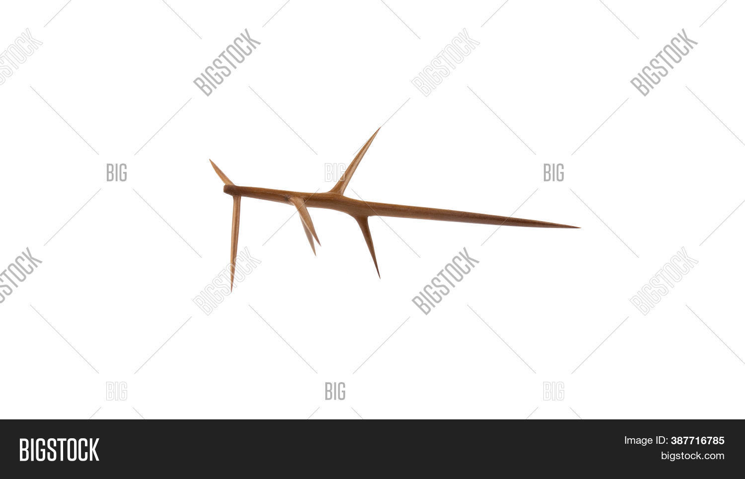 Sharp Spikes On White Image & Photo (Free Trial) | Bigstock