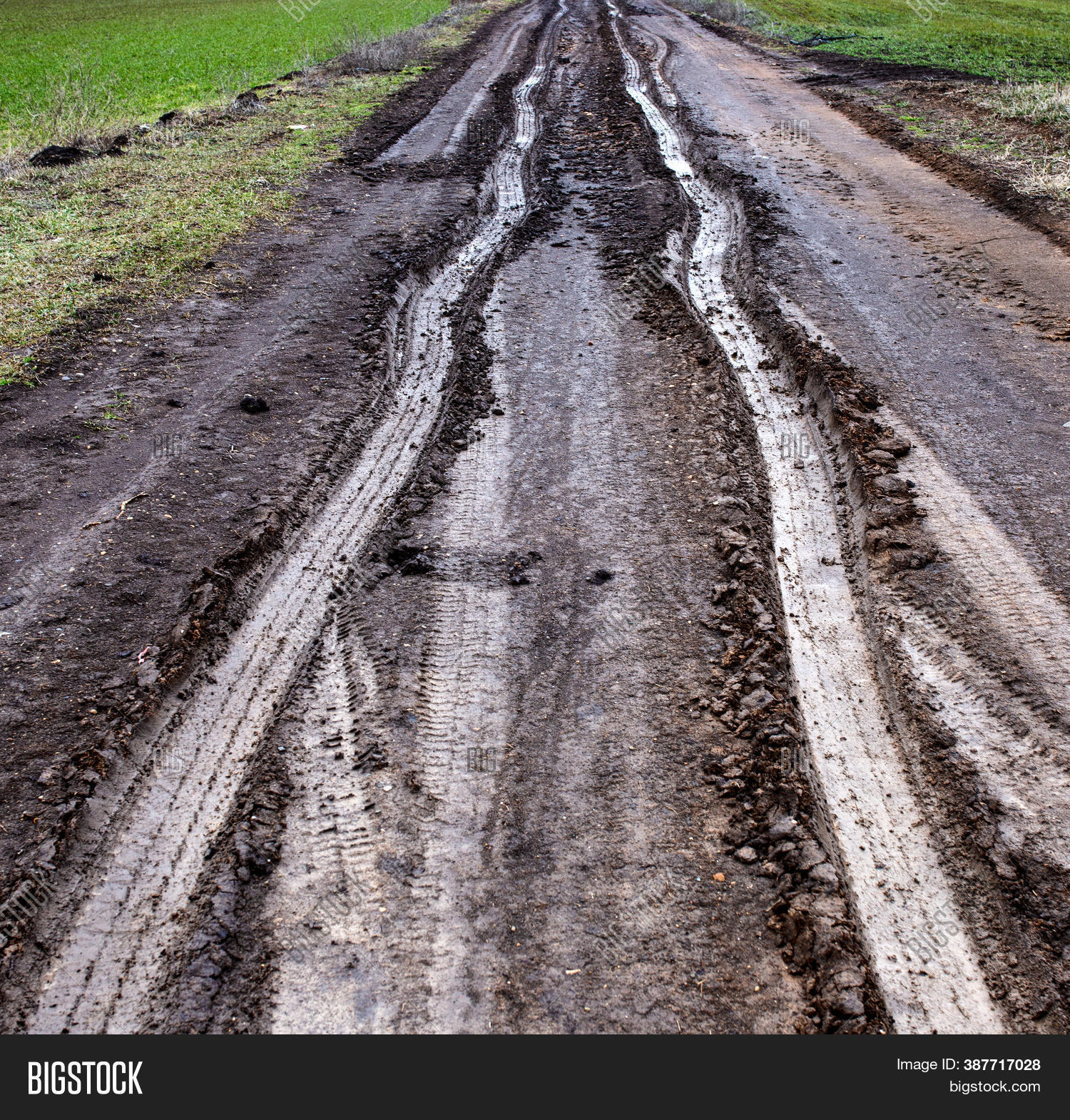 Tracks Car Wheels On Image & Photo (Free Trial) | Bigstock