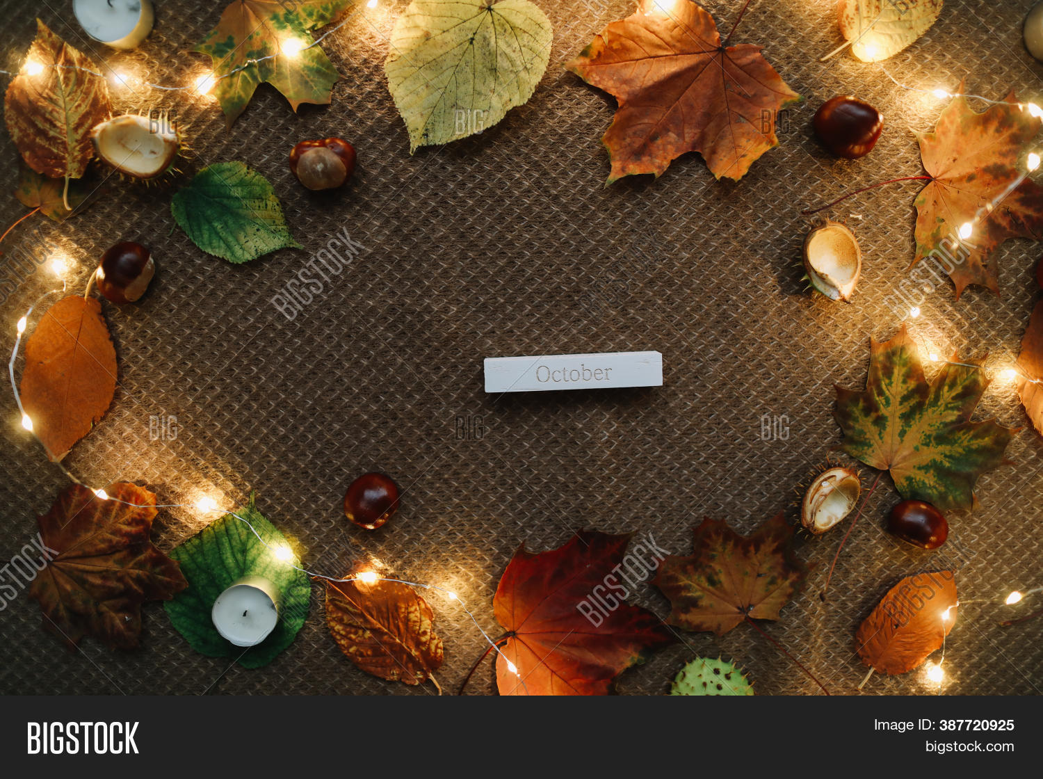 Autumn Composition. Image & Photo (Free Trial) | Bigstock