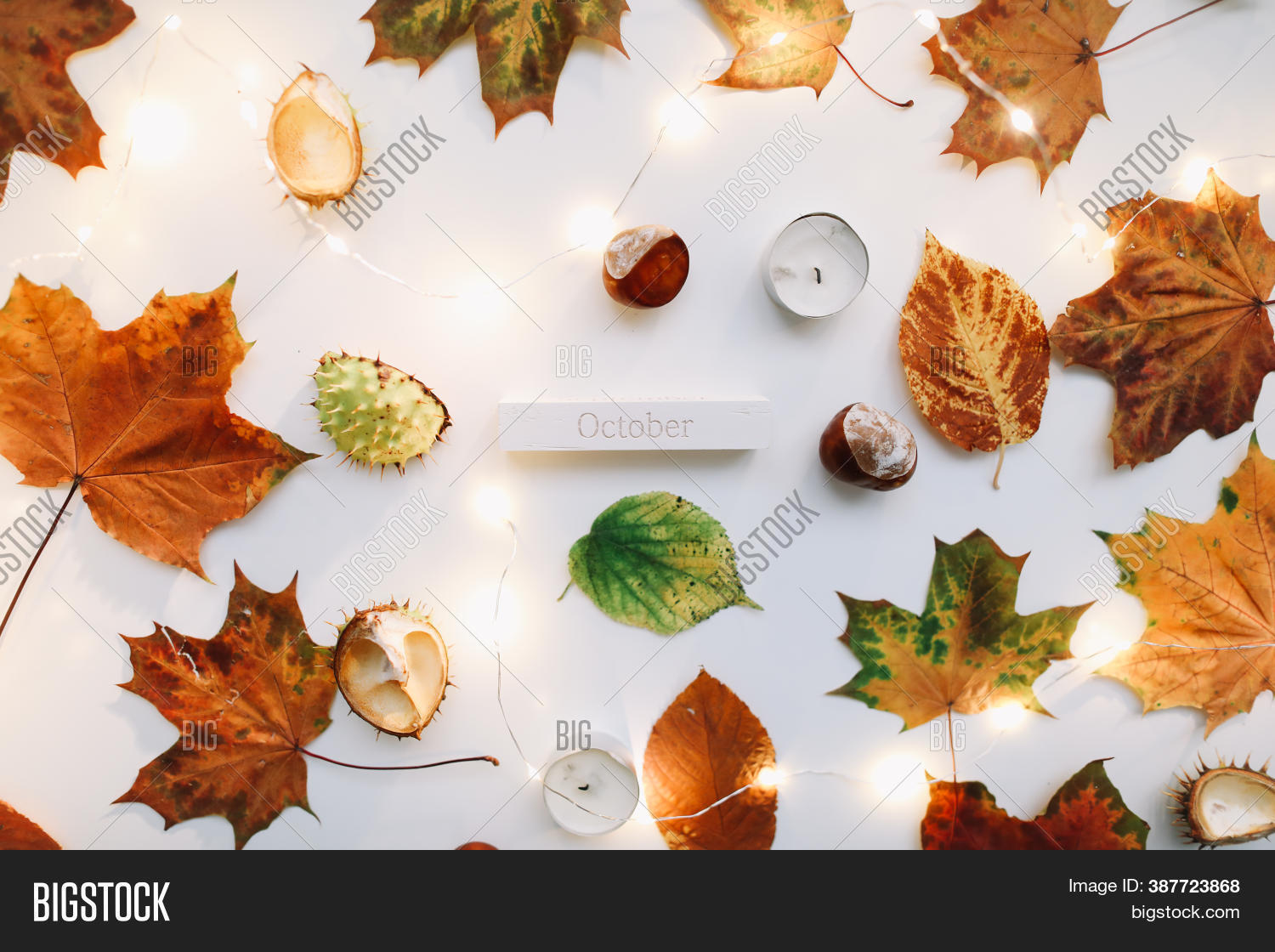 Autumn Composition. Image & Photo (Free Trial) | Bigstock