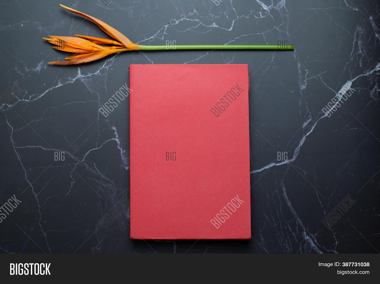 Orange Flower Red Book Image & Photo (Free Trial) | Bigstock
