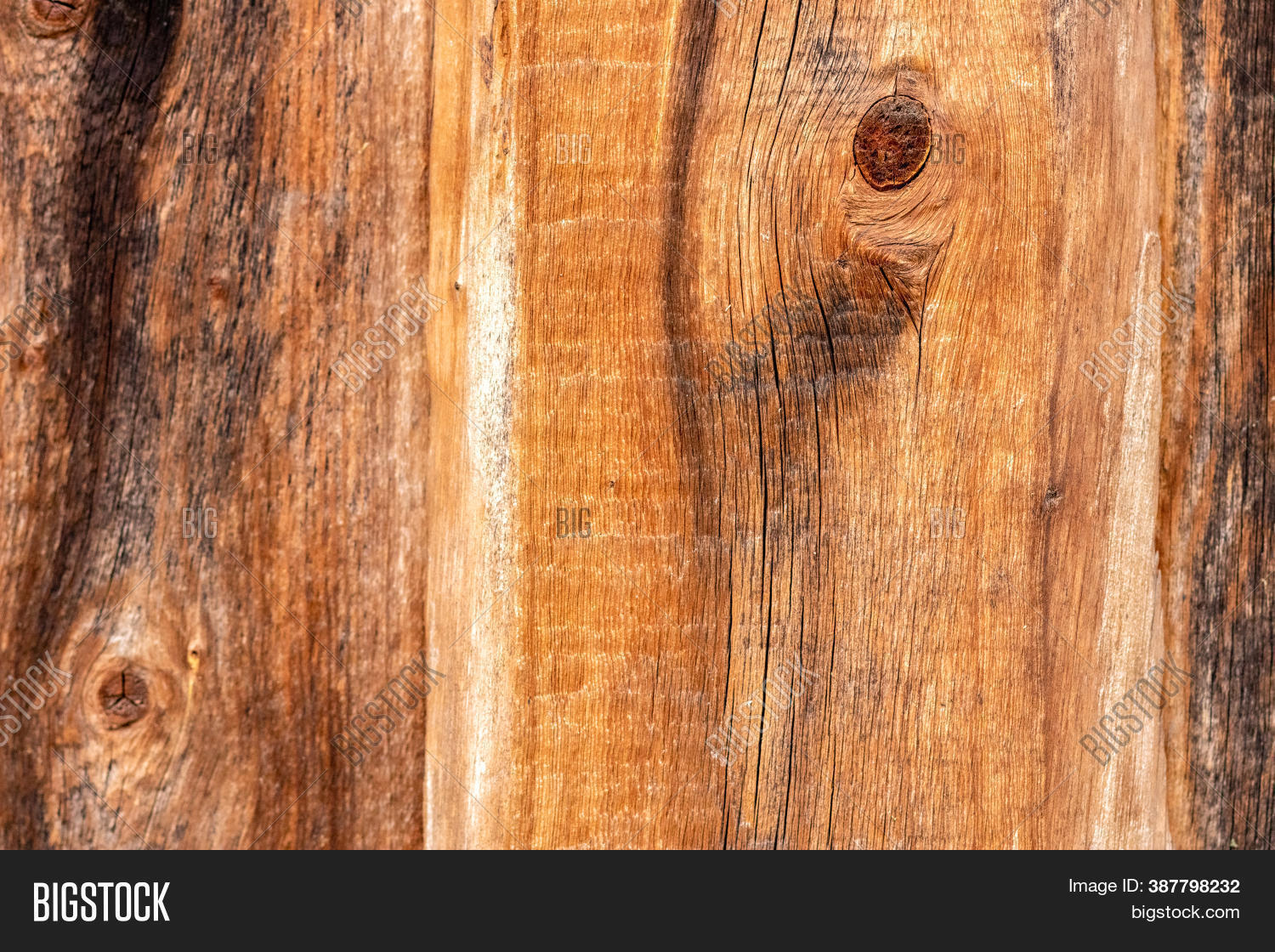 Wood Texture. Tree Image & Photo (Free Trial) | Bigstock