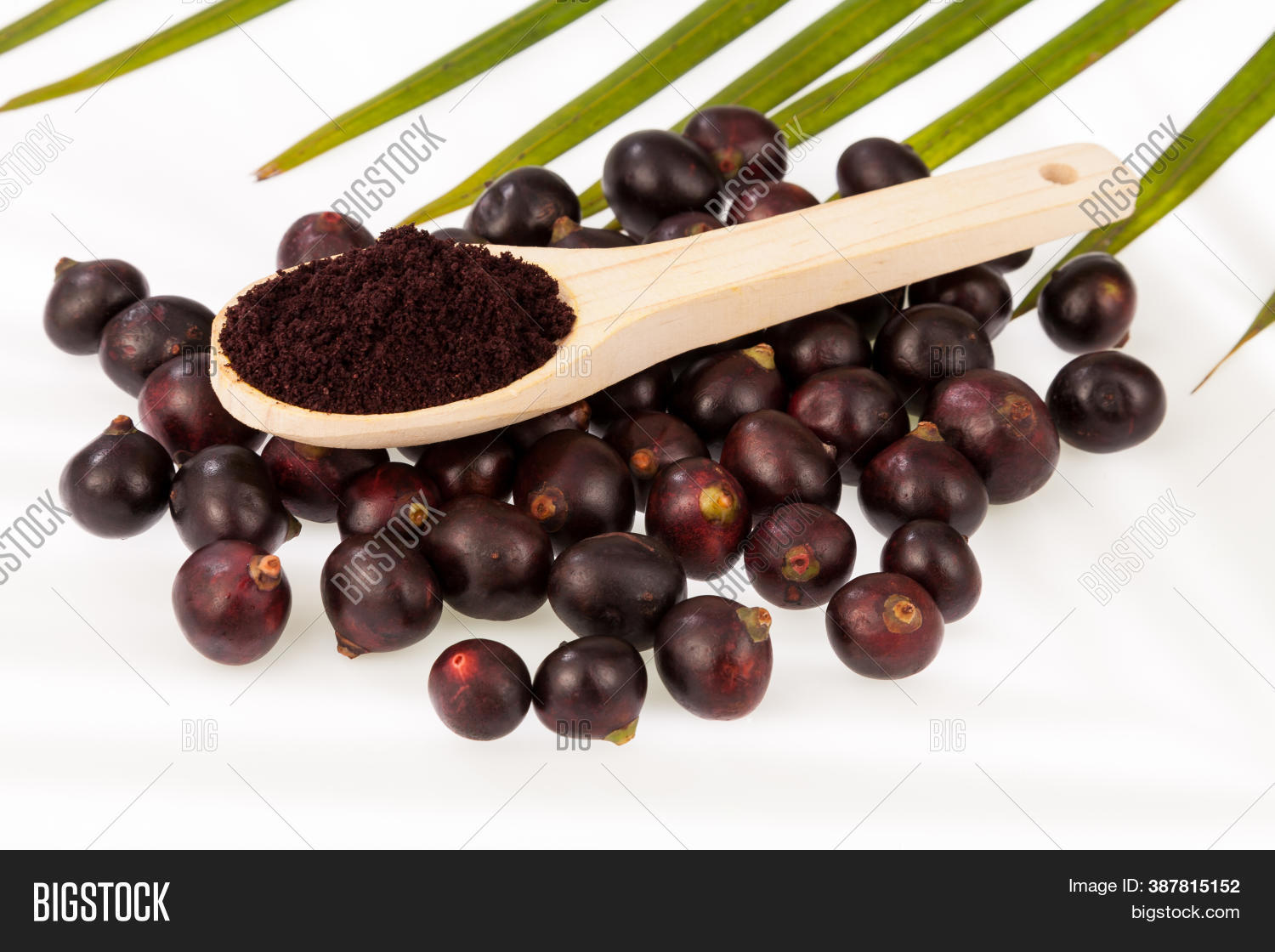 Fruit Acai Powder - Image & Photo (Free Trial) | Bigstock