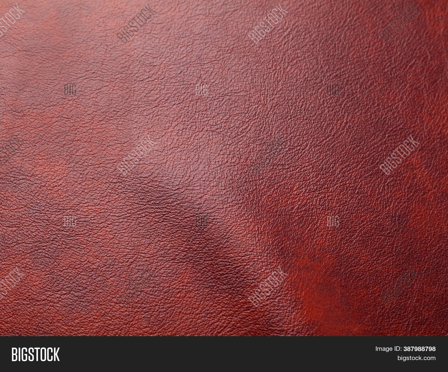 Genuine Dark Red Image & Photo (Free Trial) | Bigstock