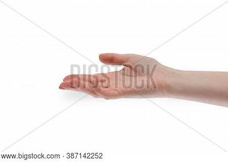 Give Take Hand. Womans Image & Photo (Free Trial) | Bigstock