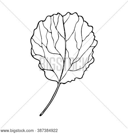 Vector Contour Leaf. Vector & Photo (Free Trial) | Bigstock