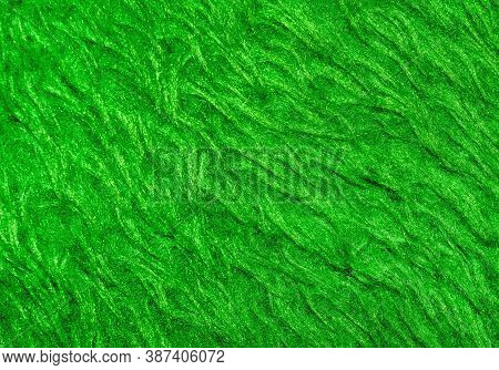 Green Wool Top Texture Image & Photo (Free Trial) | Bigstock