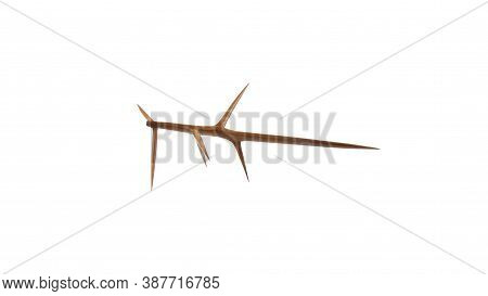 Sharp Spikes On White Image & Photo (Free Trial) | Bigstock