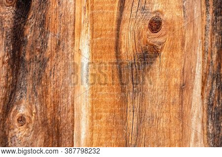 Wood Texture. Tree Image & Photo (Free Trial) | Bigstock