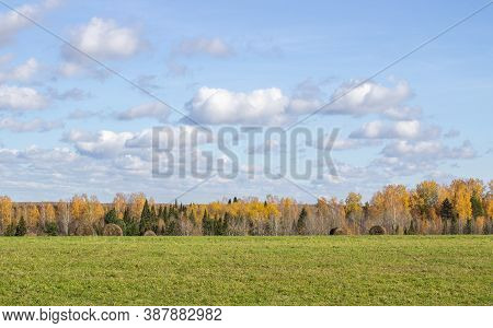 Hay Field Images, Illustrations & Vectors (Free) - Bigstock