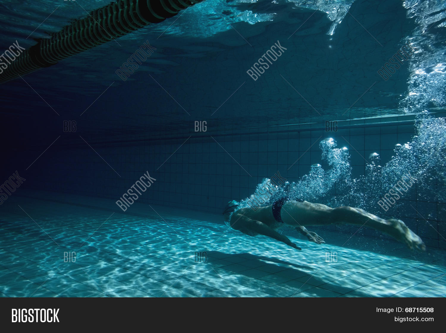 Fit Swimmer Training Image & Photo (Free Trial) | Bigstock