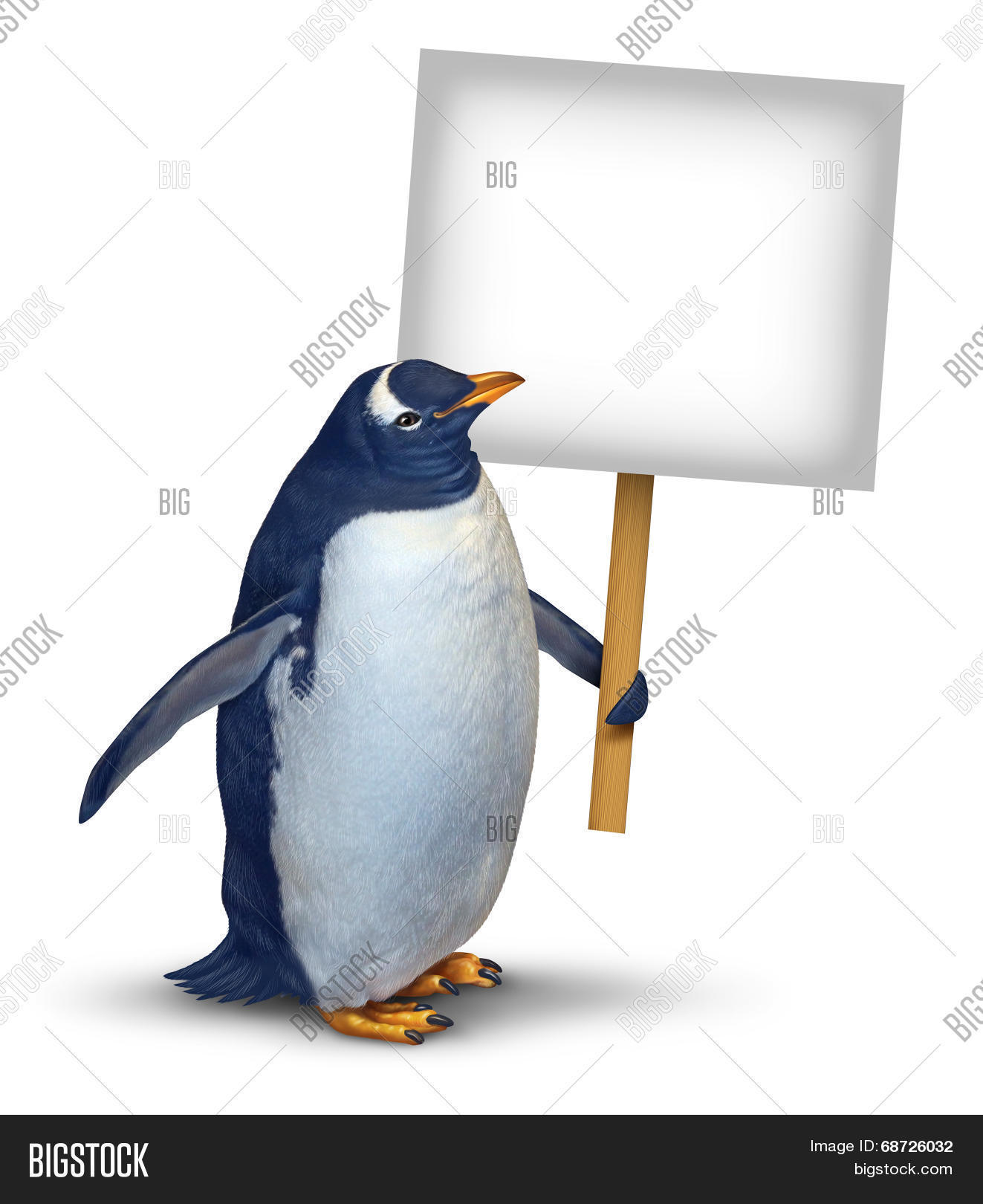 Penguin Holding Sign Image & Photo (Free Trial) | Bigstock
