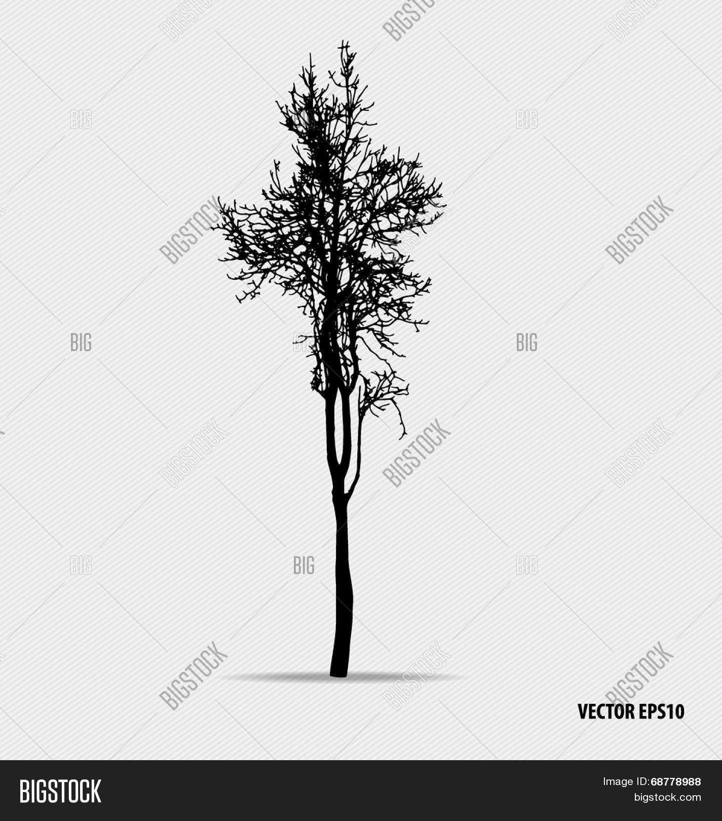 Tree Silhouette. Vector & Photo (Free Trial) | Bigstock