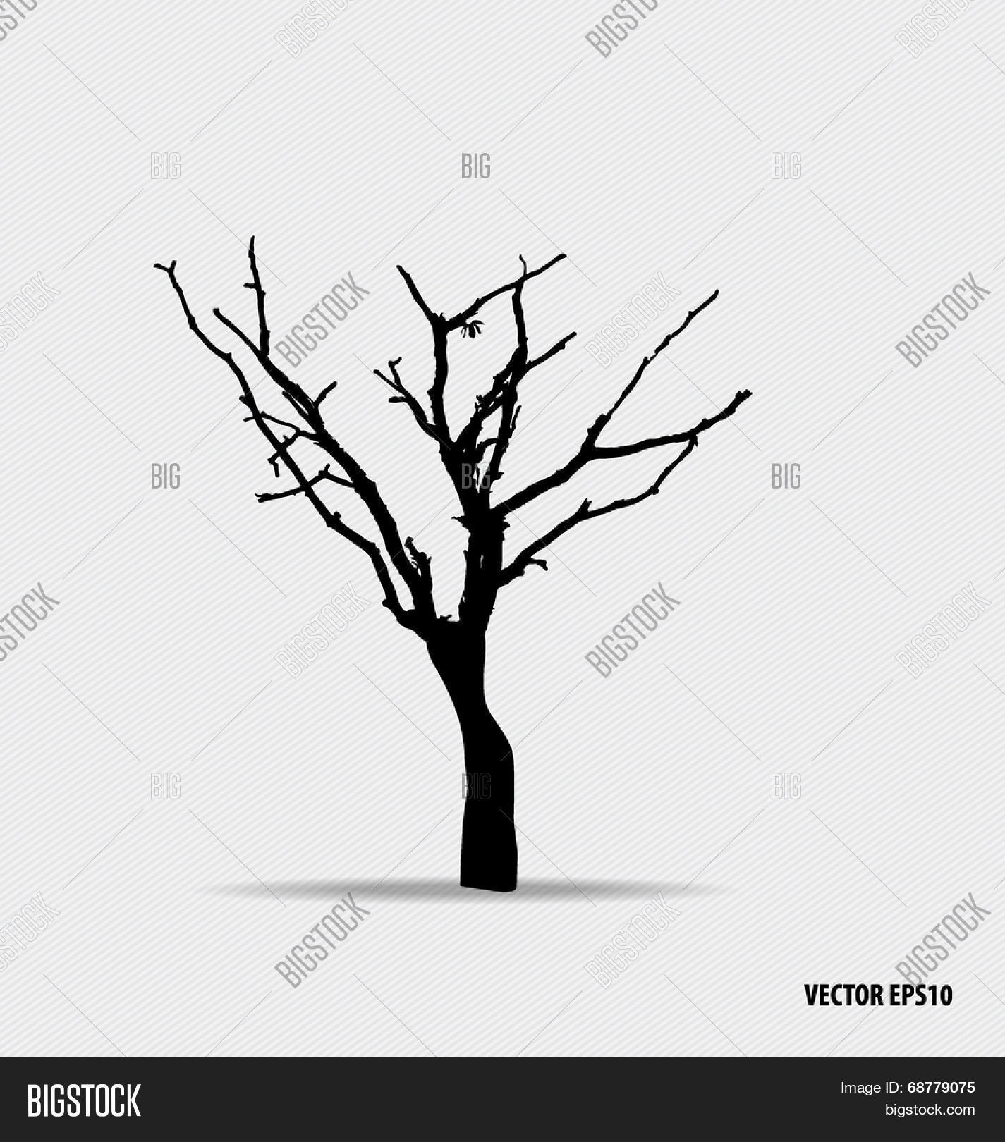 Tree Silhouette. Vector & Photo (Free Trial) | Bigstock