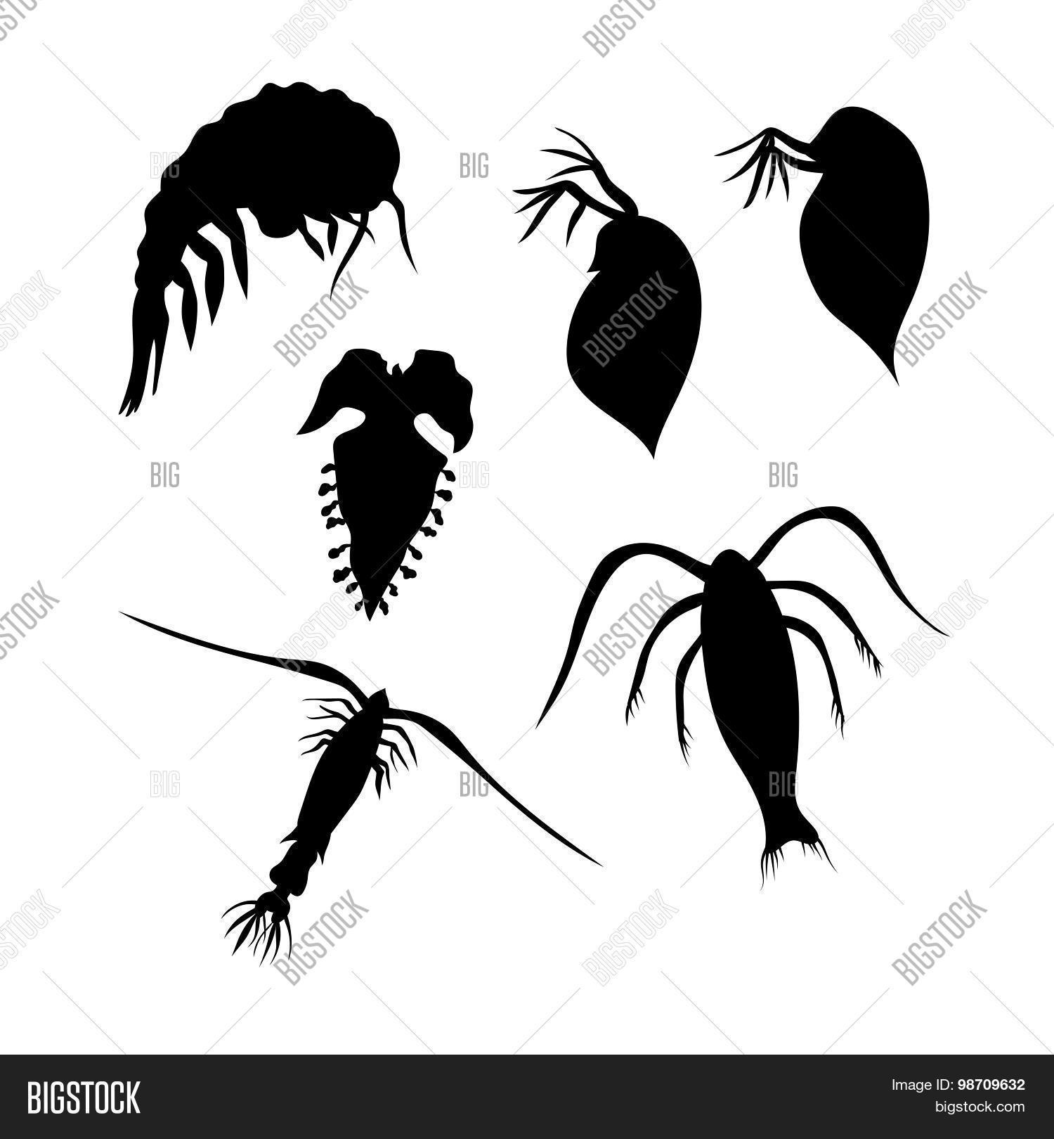 Plankton Vector Vector & Photo (Free Trial) | Bigstock