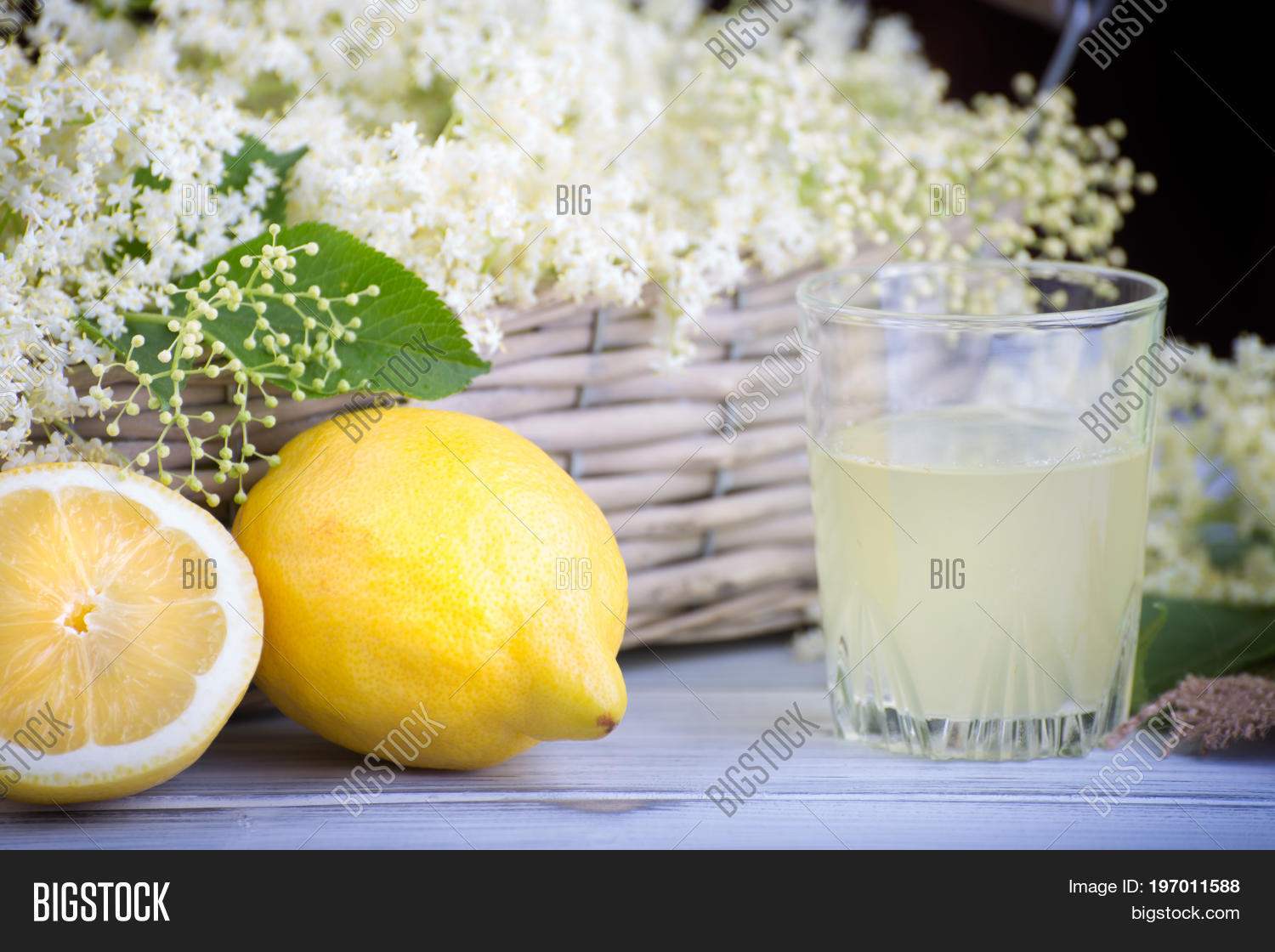 Syrup Nigra Sambucus Image & Photo (Free Trial) | Bigstock