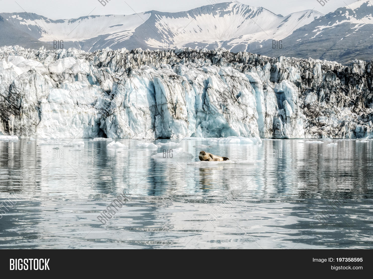 Beautiful Glacier Image & Photo (Free Trial) | Bigstock