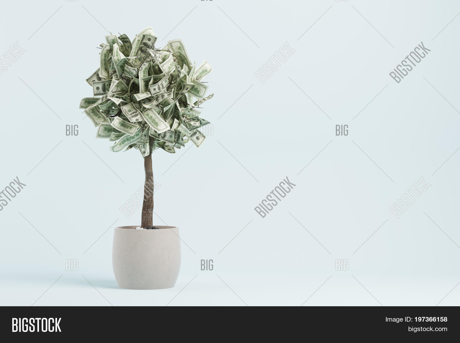 Small Dollar Tree Image & Photo (Free Trial) | Bigstock