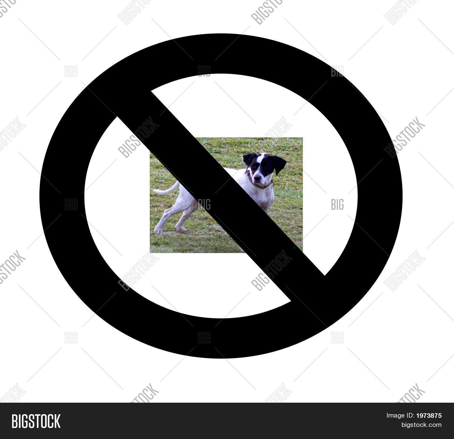 No Dogs Sign Image & Photo (Free Trial) | Bigstock