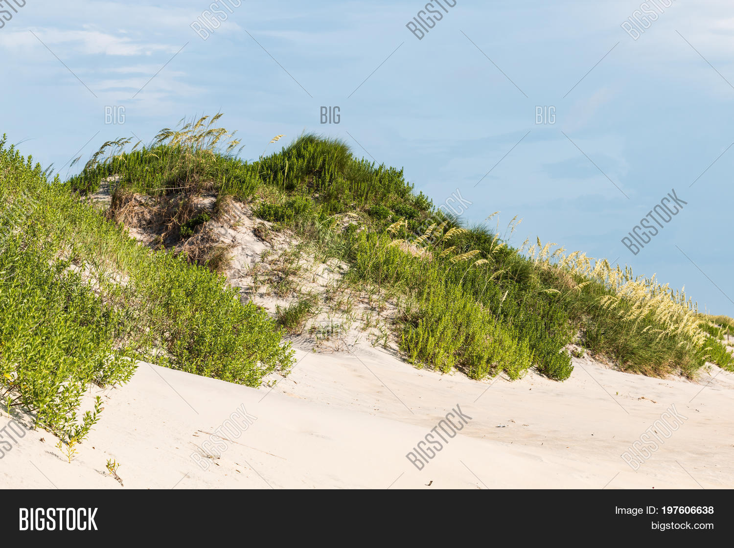 Sand Dune Covered Image & Photo (Free Trial) | Bigstock