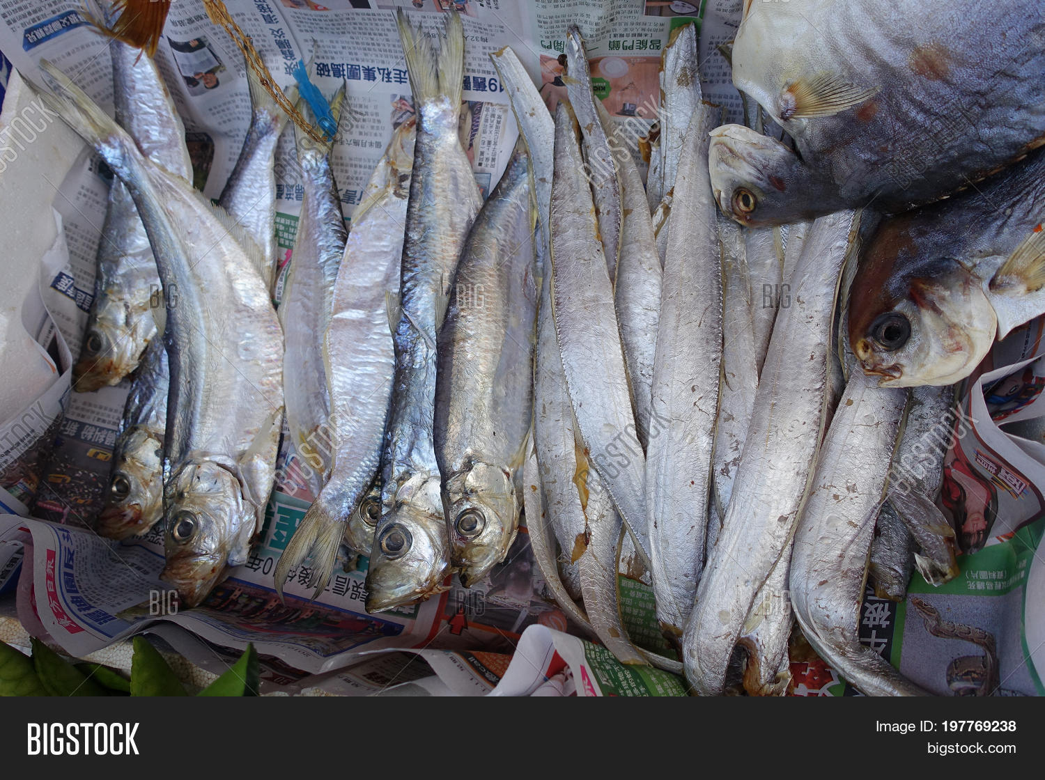 HONG KONG, CHINA - Image & Photo (Free Trial) | Bigstock