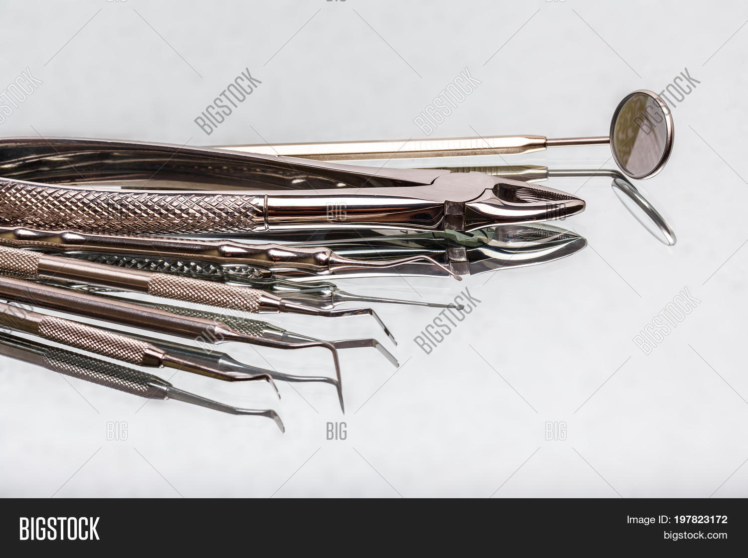 Dental Endodontic Image & Photo (Free Trial) | Bigstock