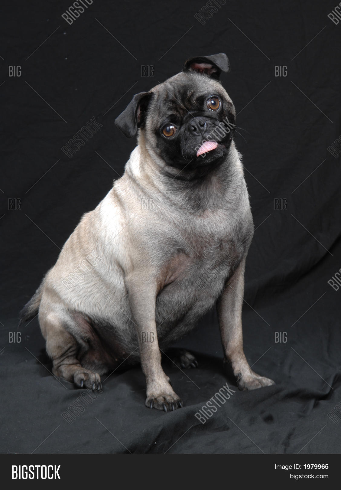 000100 Image & Photo (Free Trial) | Bigstock