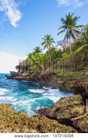 Imagen y foto Wild Tropical Rocky (prueba gratis) | Bigstock