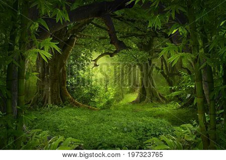 Deep Jungle South East Image & Photo (Free Trial) | Bigstock