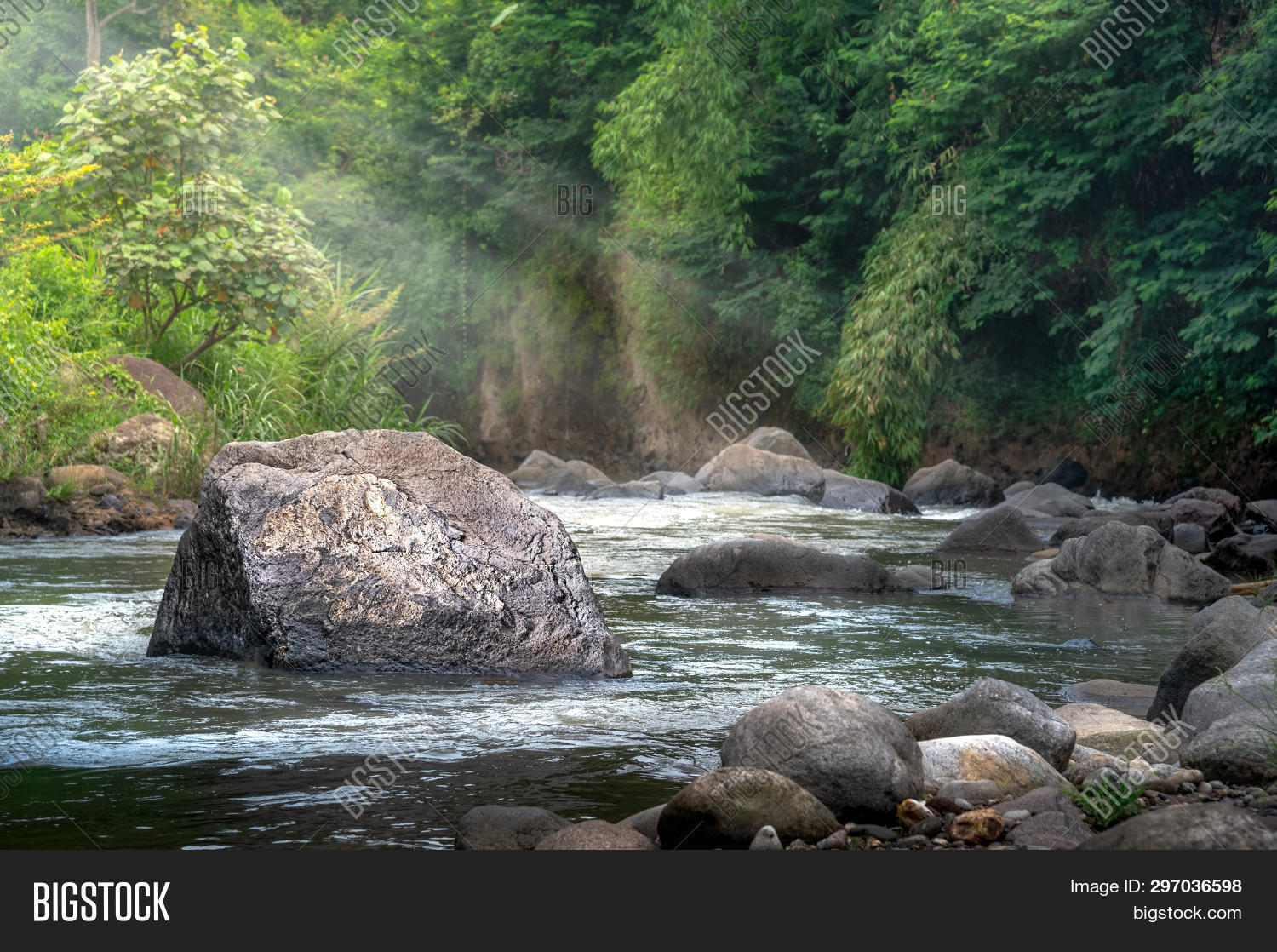 Deep Forest Stream Image & Photo (Free Trial) | Bigstock