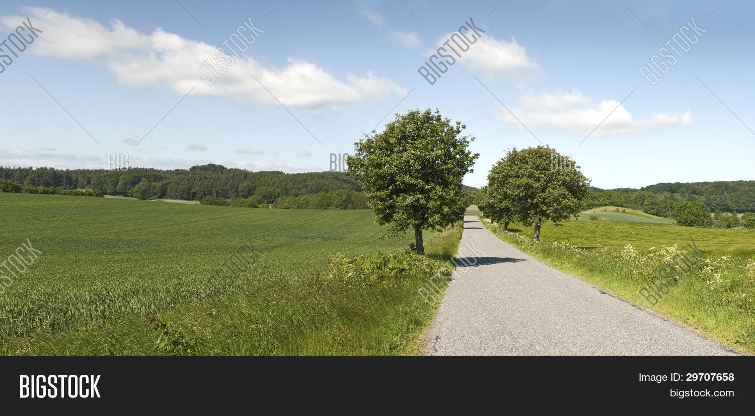 Roadside Trees Image & Photo (Free Trial) | Bigstock