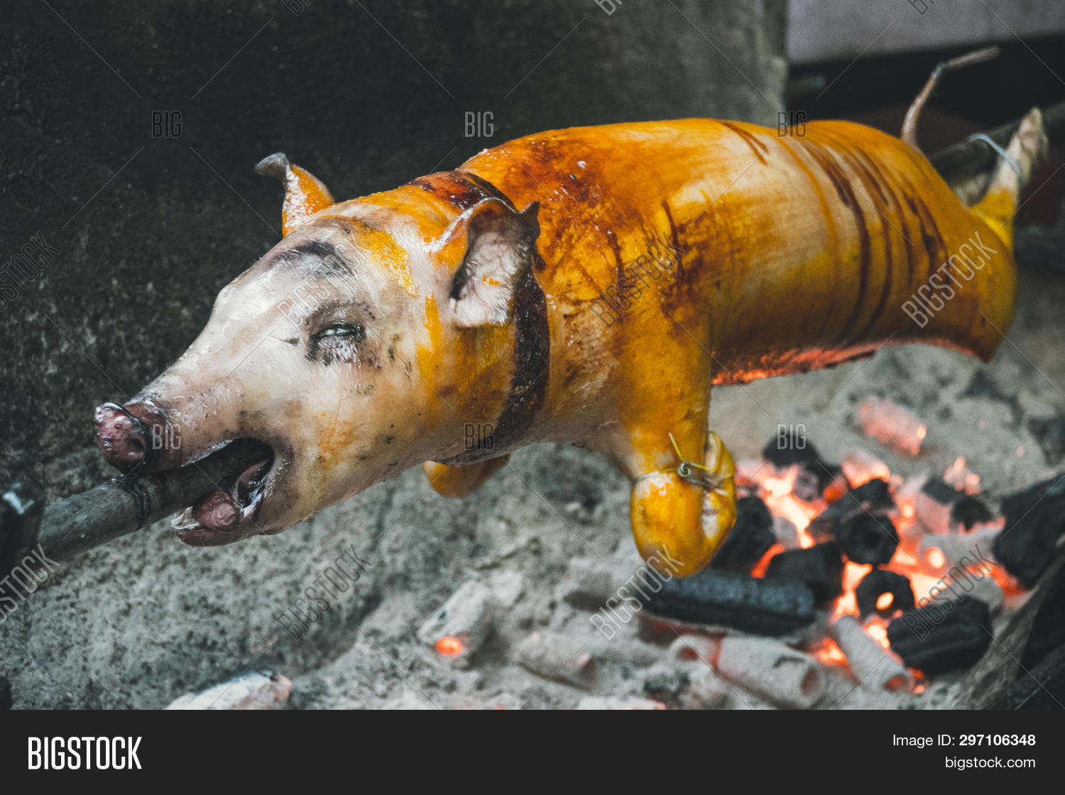 Poor Sucking Pig Image & Photo (Free Trial) | Bigstock